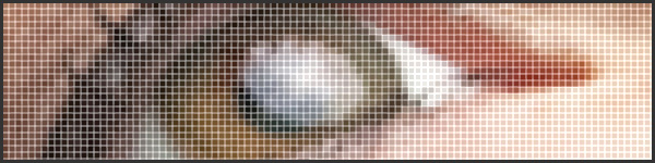 10 Second Tip Controlling The Photoshop Pixel Grid Maddison Designs